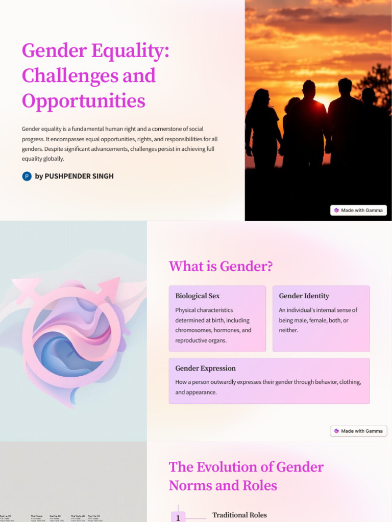 Gender Equality Challenges and Opportunities | PDF | Gender | Gender ...
