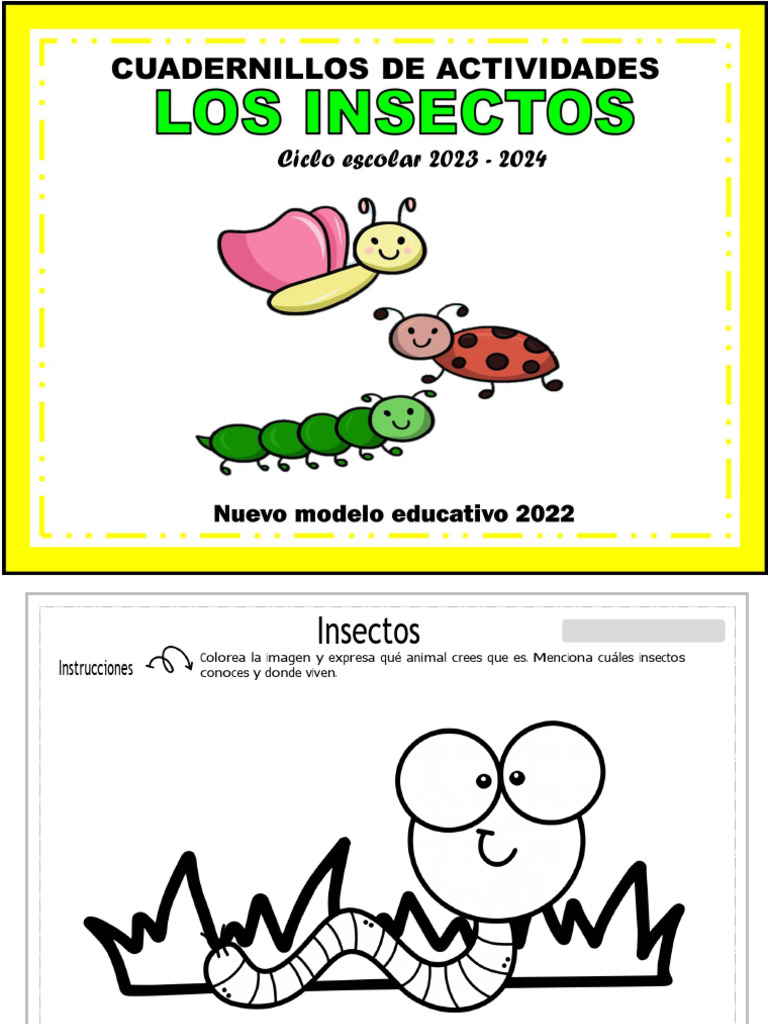Actividades de Insectos para Preescolar | PDF