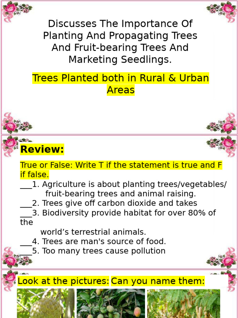 Trees and Fruit Bearing Trees Found Both in Rural and Urban Areas | PDF ...