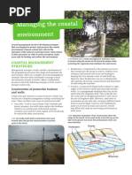 Coastal Management: Hard vs. Soft Engineering | PDF | Coast | Beach