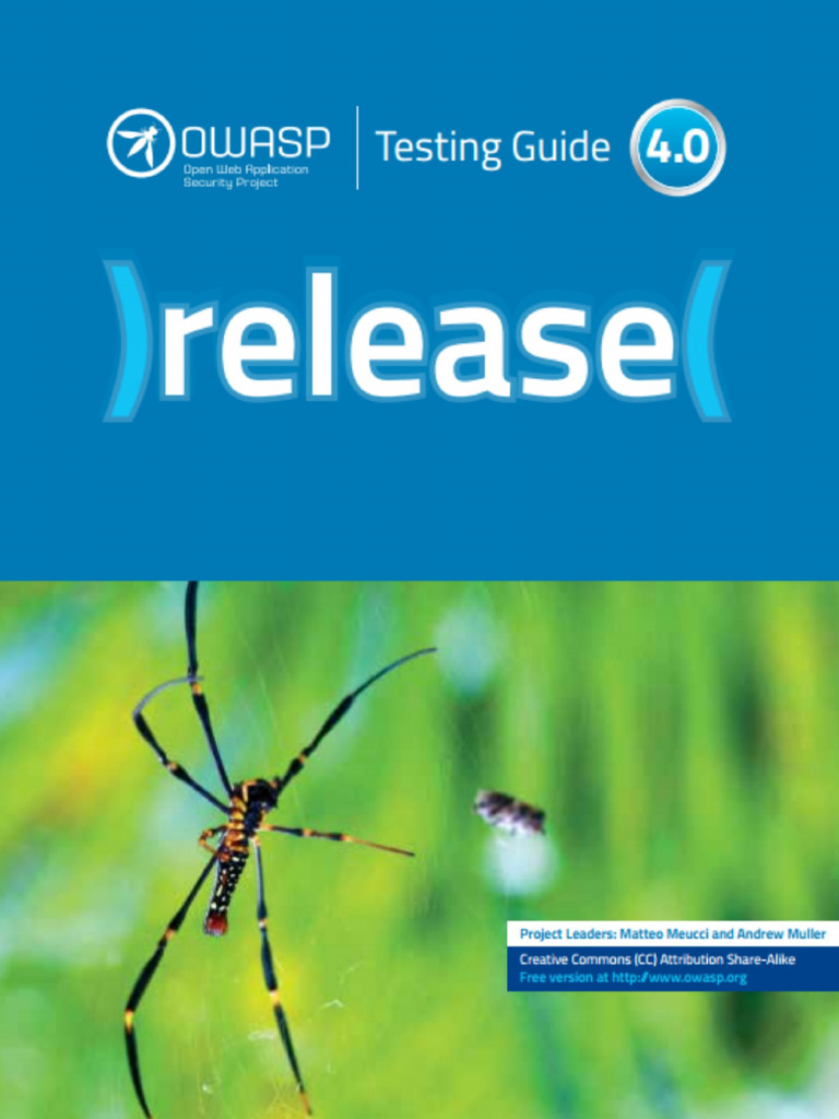 Owasp Testing Guide v4 ZH | PDF