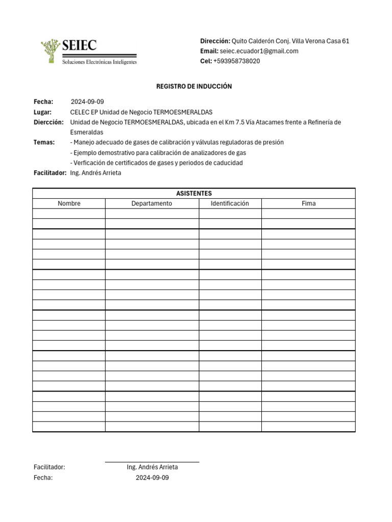 Formato Inducción-MSI | PDF