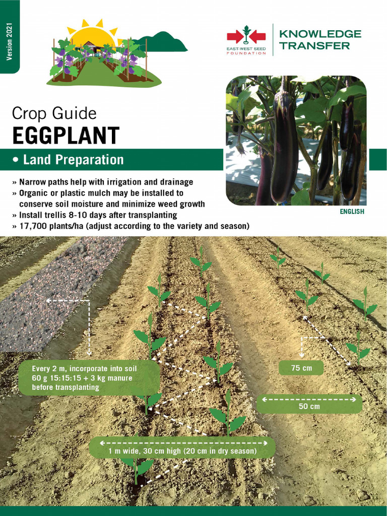 Eggplant Unlocked | PDF