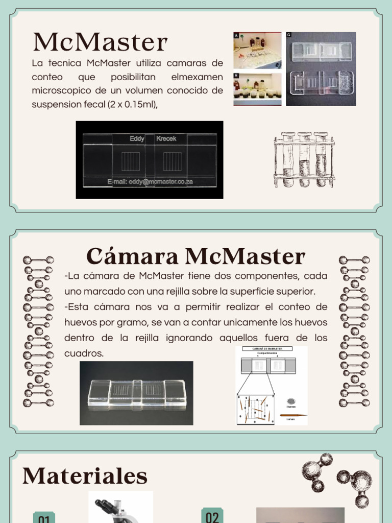 Metodo McMaster | PDF