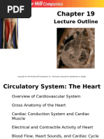 Anatomy Heart Cadaver | PDF | Heart Valve | Coronary Circulation