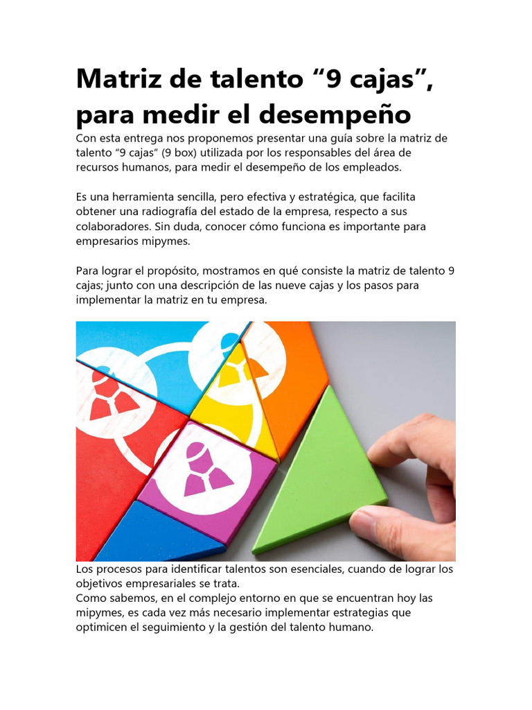 Guía de la matriz 9 cajas para evaluar talento | PDF | Business ...