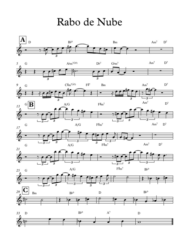 Rabo Concert | PDF