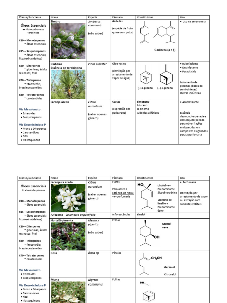 Tabela Resumo | PDF | Resina