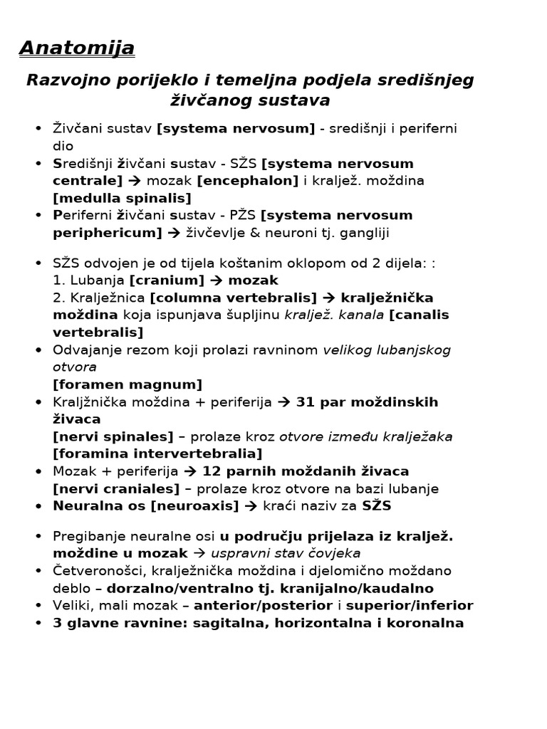 Anatomija 1 | PDF