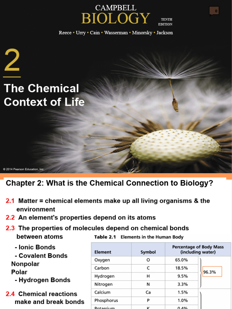 CH 02 | PDF | Chemical Bond | Ion