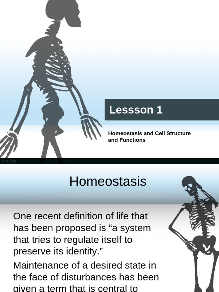 Homeostasis and Cell Functions Explained | PDF