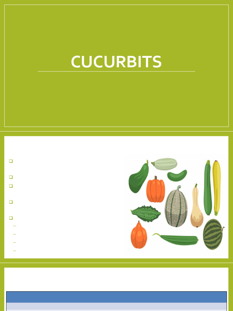 Cucurbits | PDF | Cucurbita | Botany