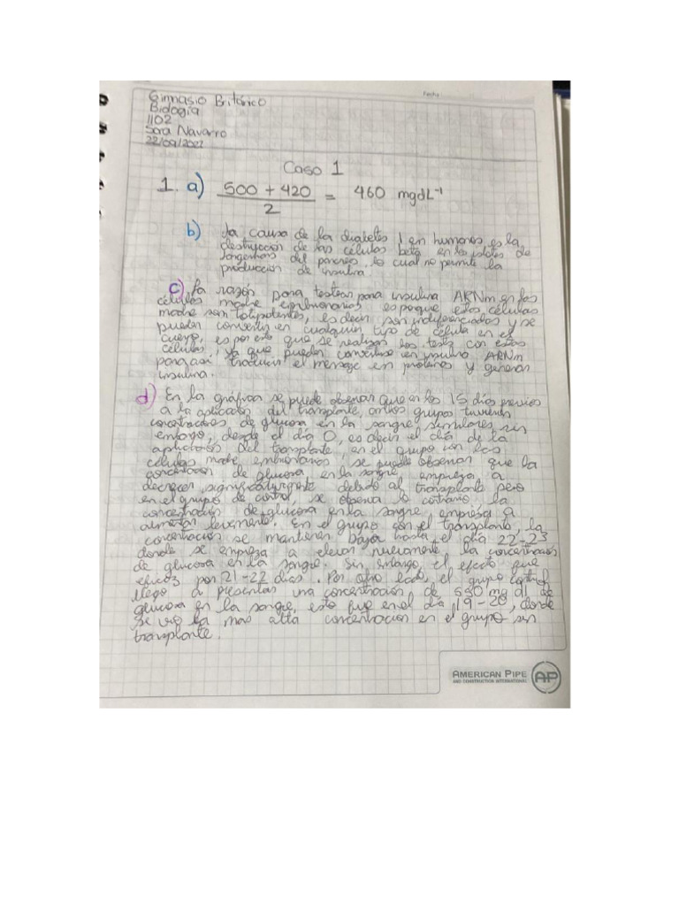 Ib Paper Lab Completo | PDF