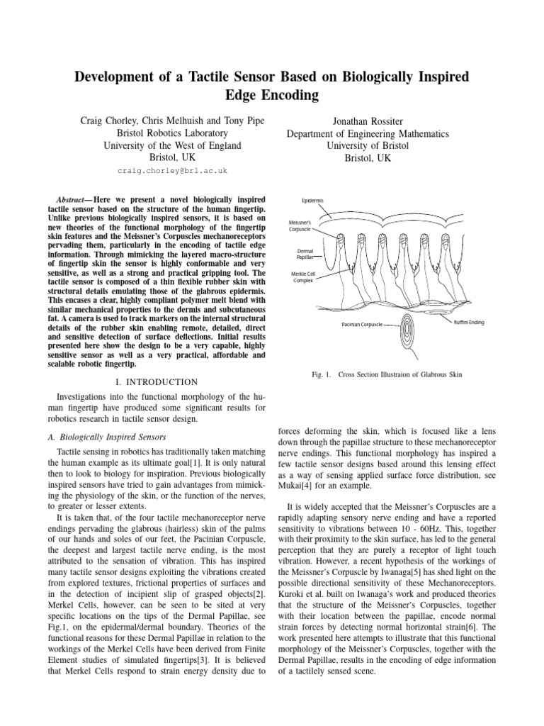 Biologically Inspired Tactile Sensor | PDF | Somatosensory System