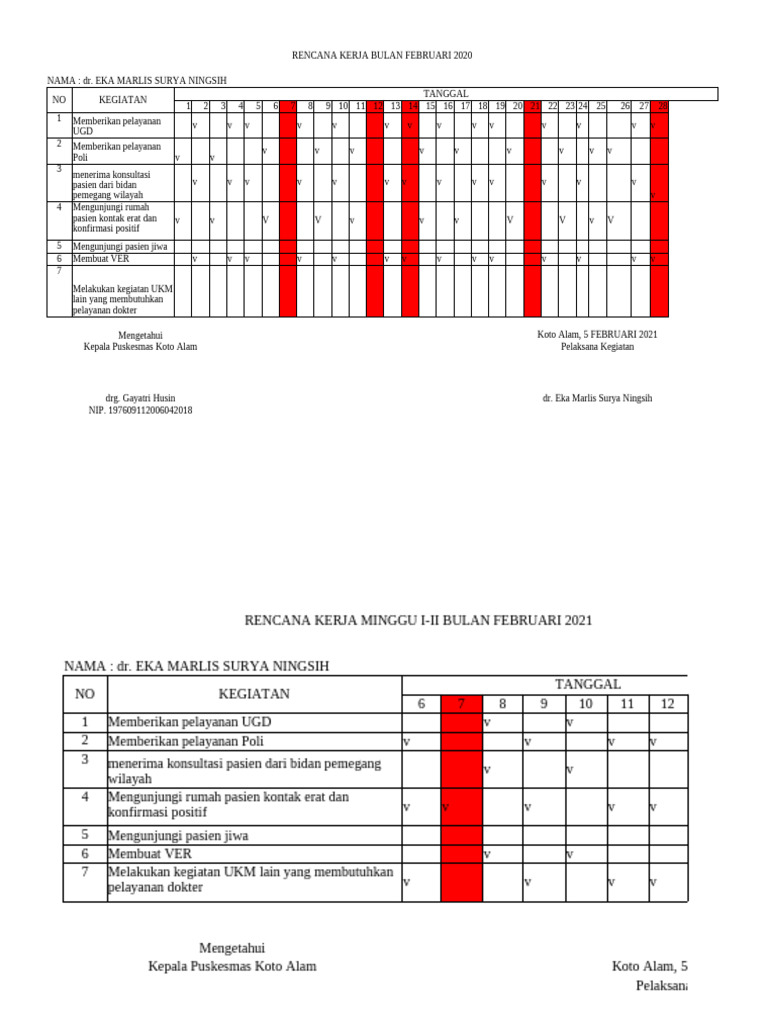 Rencana Kerja Eka Marlis | PDF