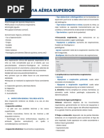 Murmullo Vesicular en Auscultación Pulmonar | PDF | Medicina CLINICA