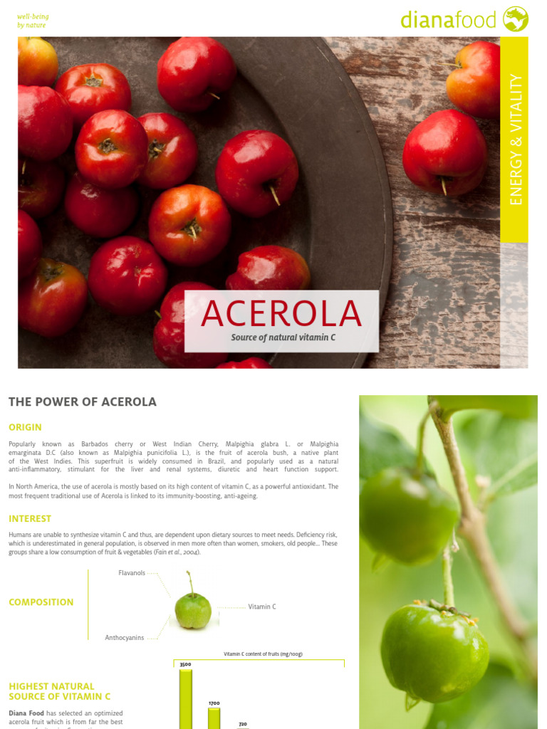 Diana Food Acerola Brochure | PDF | Vitamin C | Vitamin