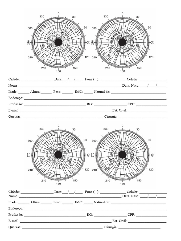 Anamnese Iridologia | PDF