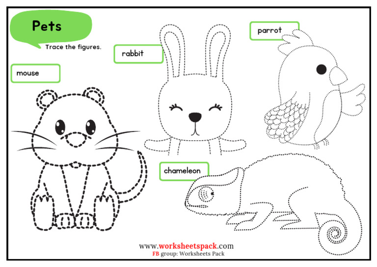 Pet Animals Pictures Tracing Worksheet | PDF