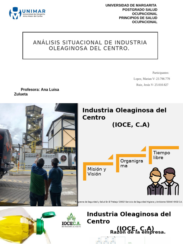 Análisis de Seguridad en IOCE C.A. | PDF | ruido | Seguridad y salud ...