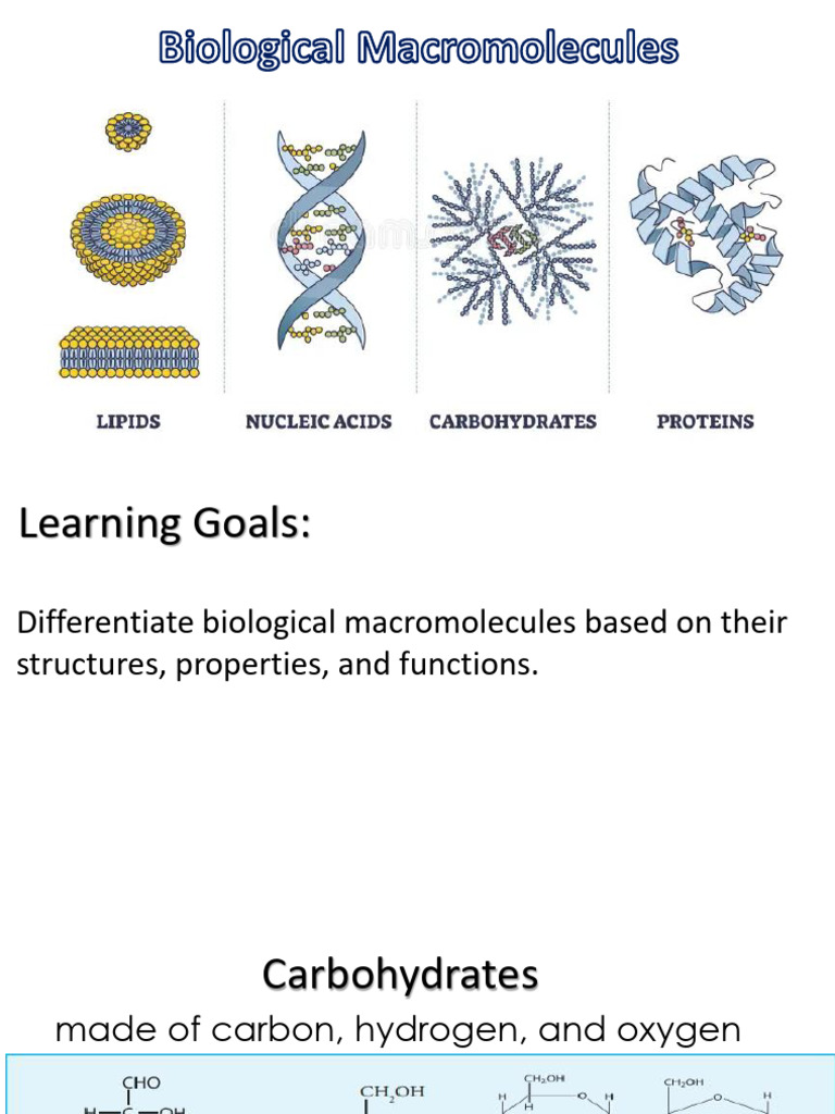 Overview of Biological Macromolecules | PDF