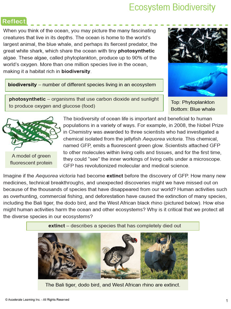 Biodiversity | PDF | Biodiversity | Oceans