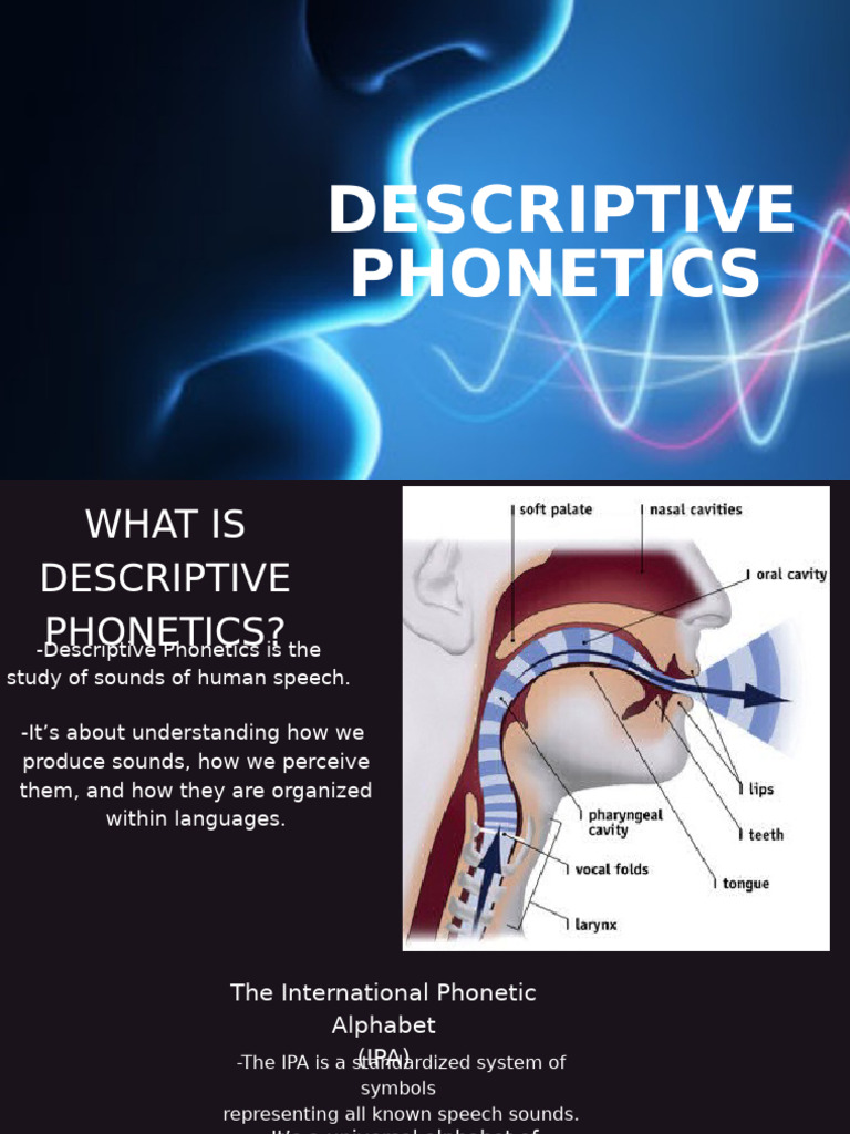DESCRIPTIVE PHONETICS 2 | PDF
