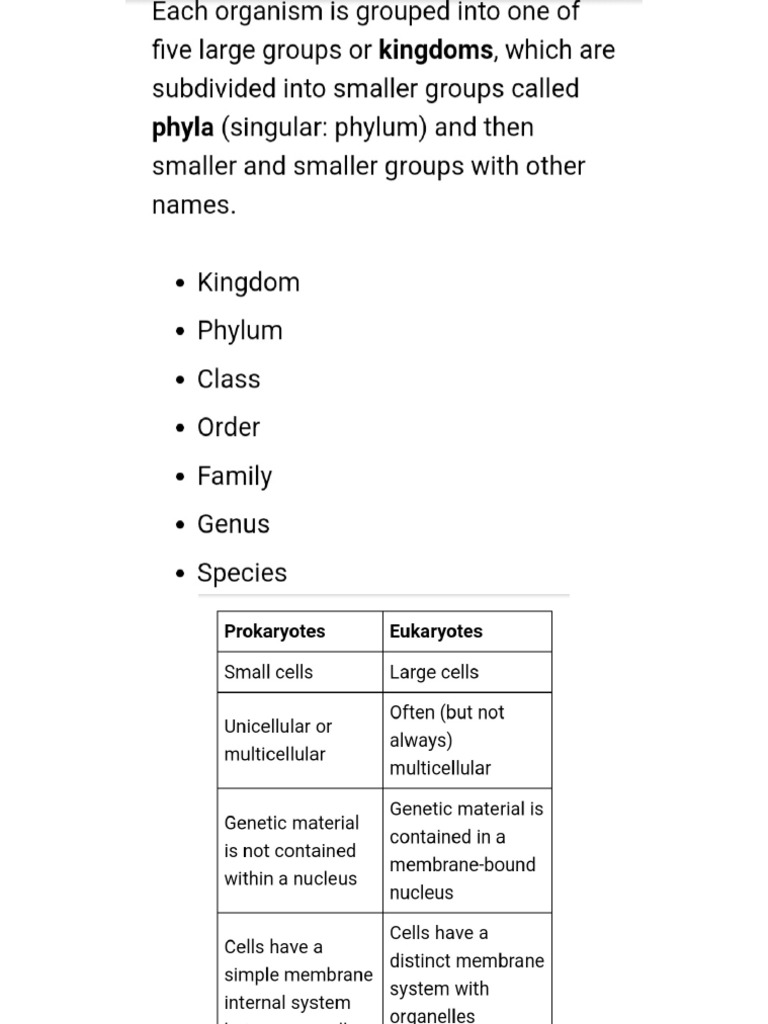 Biodiversity and Classification Grade 10 | PDF