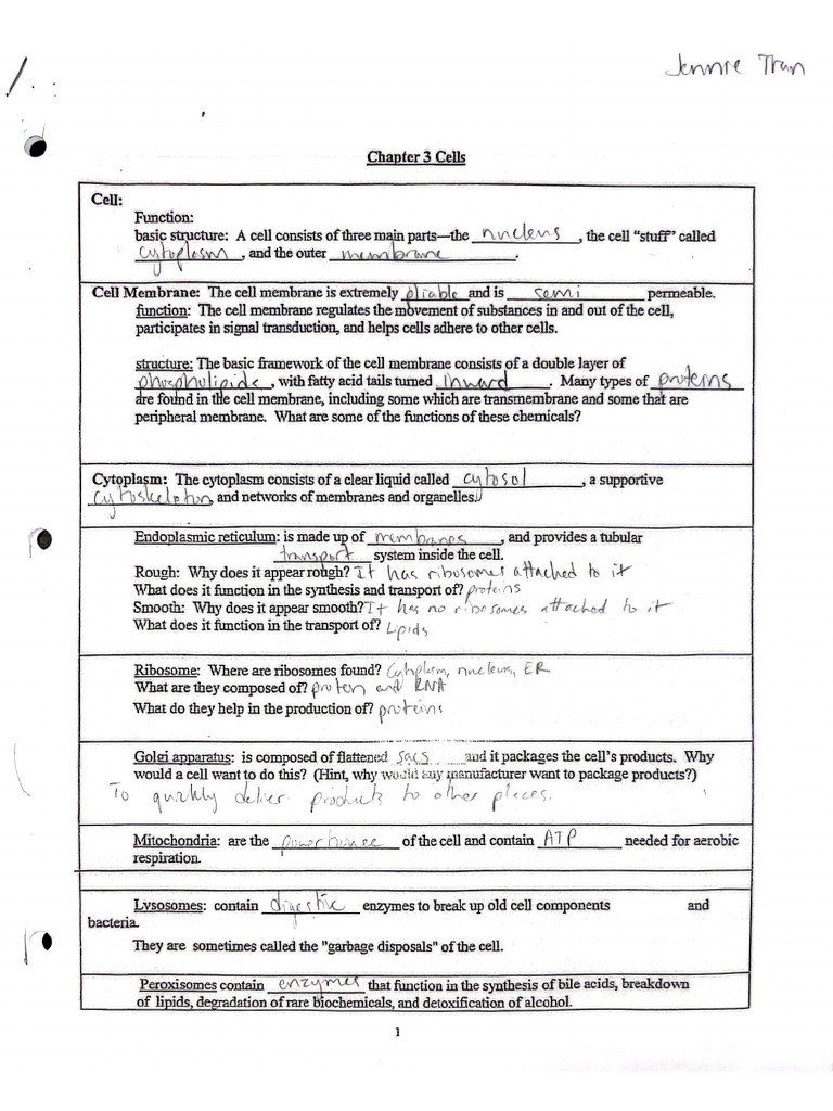 Chapter 3 Review | PDF