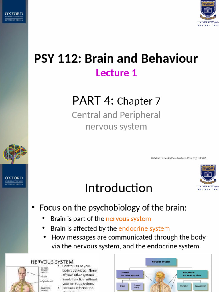 Lecture 1 PSY112 2021 Nervous System | PDF | Central Nervous System | Nervous System