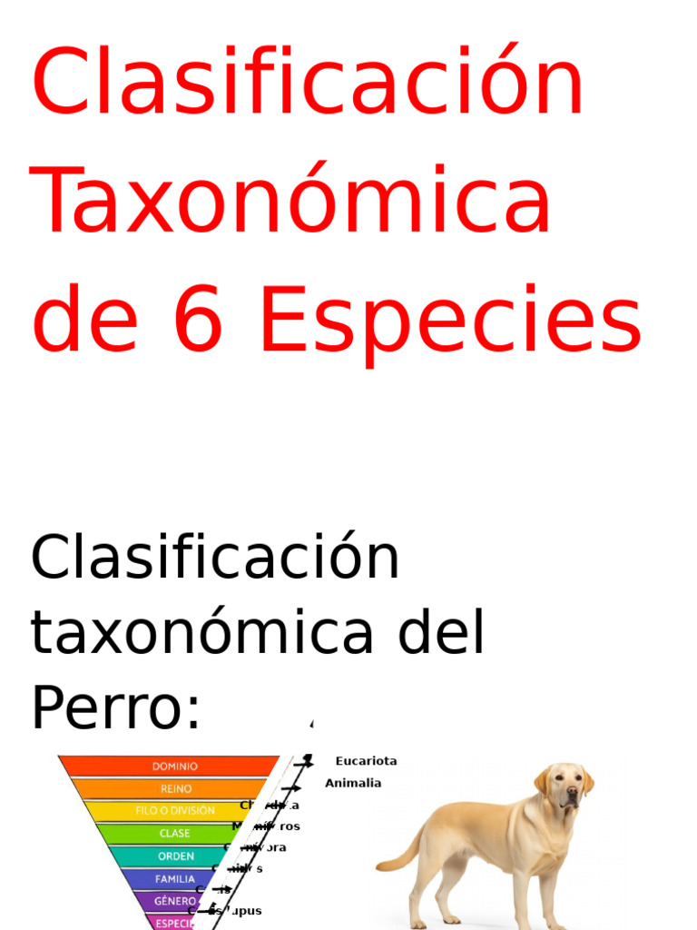 Clasificacion Taxonómica de Especies | PDF