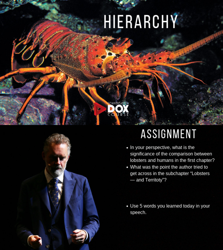 HIERARCHY - 12 RULES FOR LIFE | PDF