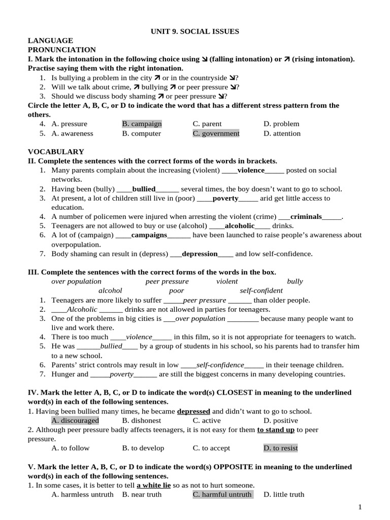 Unit 9. Social Issues - Key | PDF | Violence | Bullying
