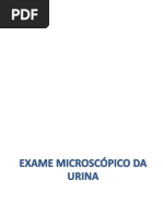 Atlas de Urinálise: Análise Completa | PDF