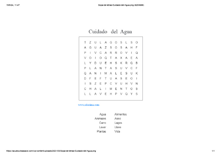 Sopa de Letras Cuidado del Agua | PDF