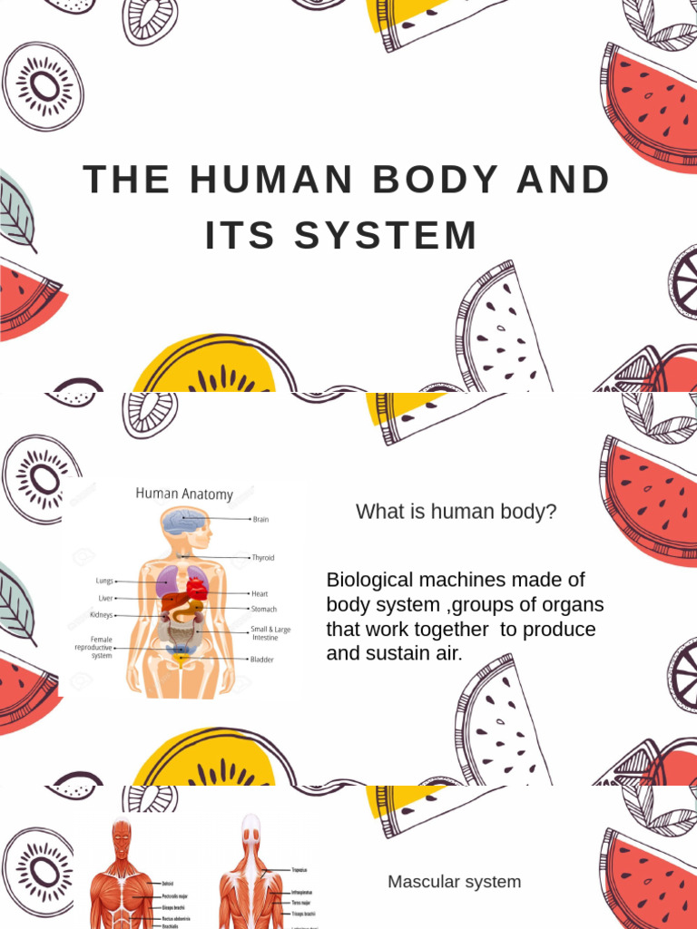 THE HUMAN BODY WPS Office | PDF