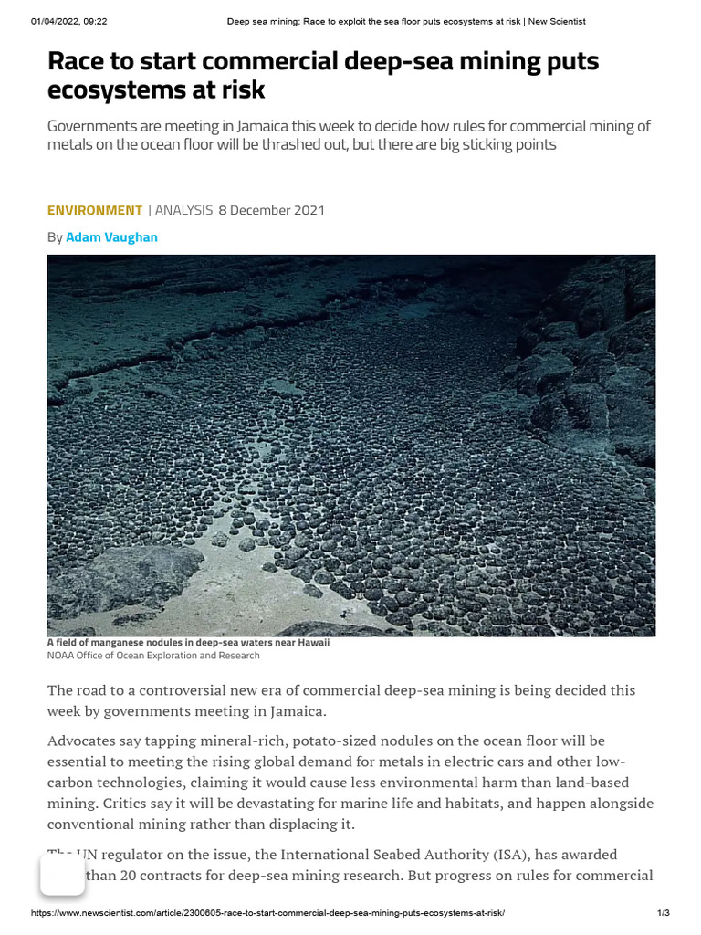 Deep Sea Mining - Race To Exploit The Sea Floor Puts Ecosystems at Risk ...
