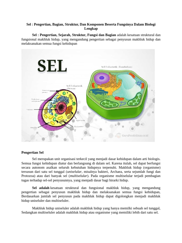 Bahan Ajar Tentang Sel | PDF