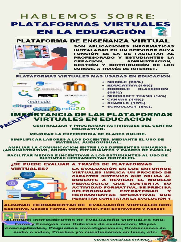 Infografía PLATAFORMA SDE ENSEÑANZA VIRTUAL | PDF