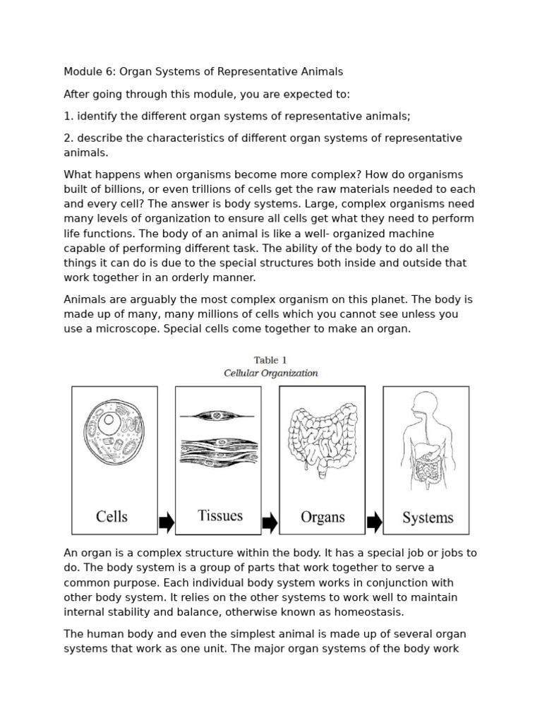 MODULE 6 Organ Systems of Representative Animals | PDF | Nervous System ...