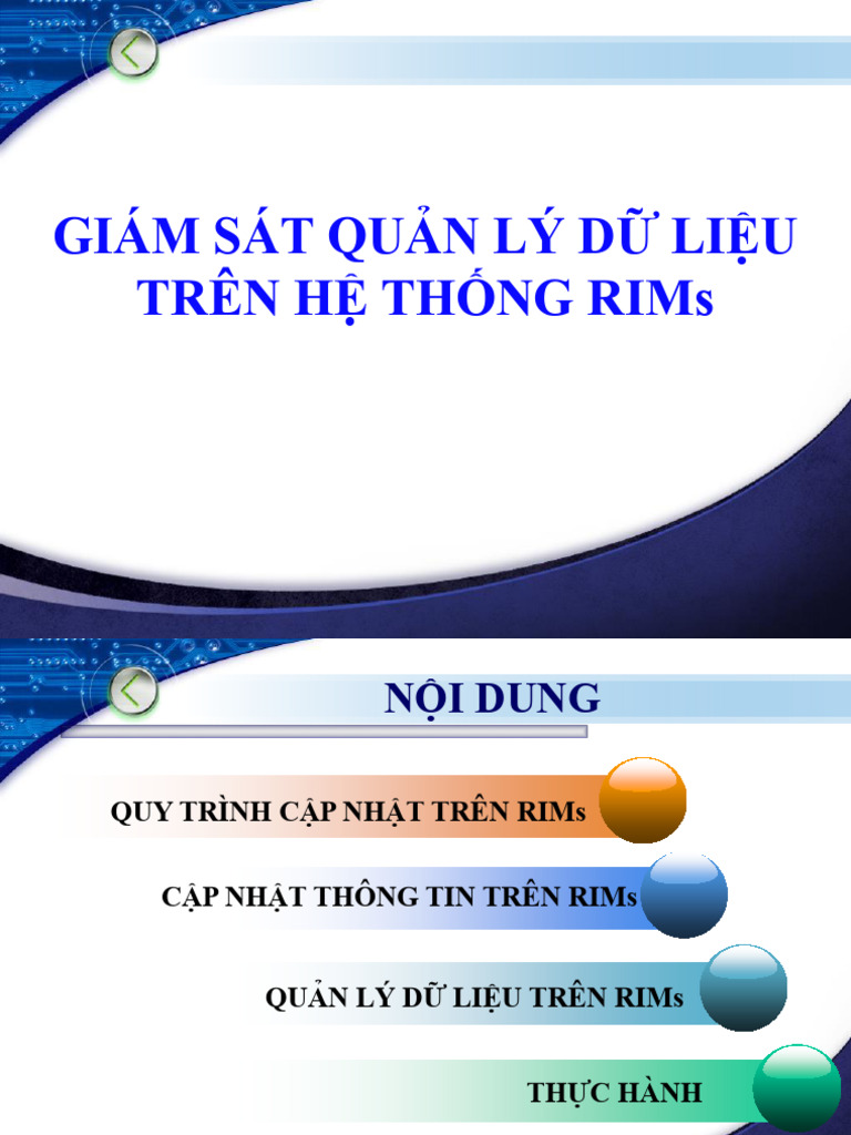 Thong Tin RIMs | PDF