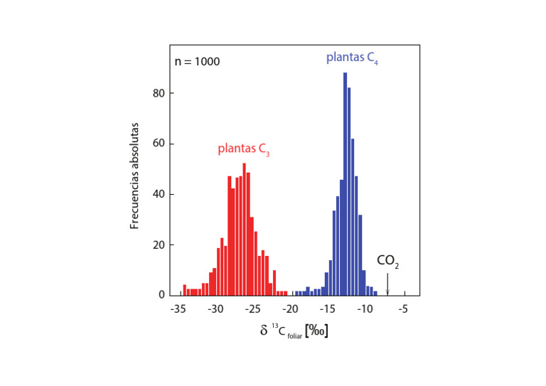 SM 4-Via Fotosintética-Plantas C3 y C4-Fig. 1 | PDF