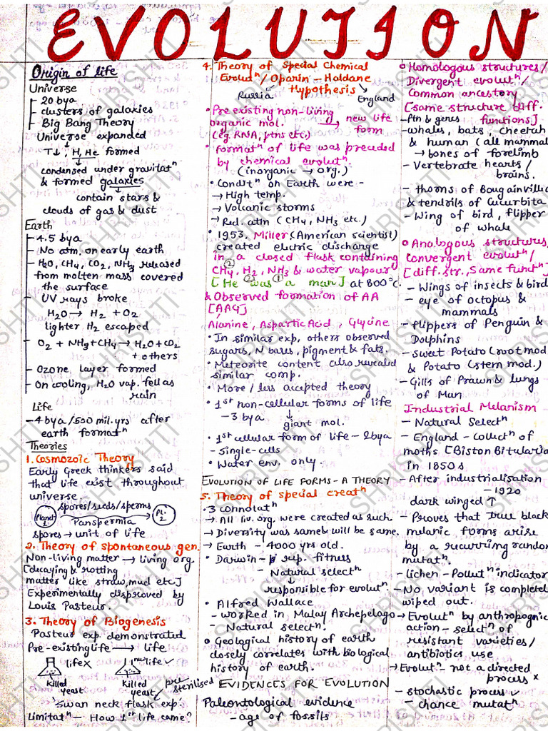 Evolution Handwritten Notes | PDF