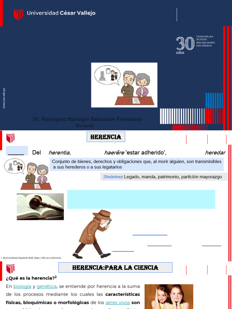 S4 - Herencia - Caracteristicas y Otros | PDF | Herencia | Propiedad
