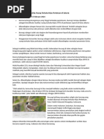 Burung Botak Upeh | PDF | Griya & Taman | Sains & Matematika