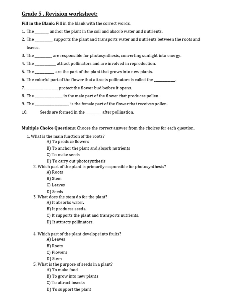 Grade 5 Revision Worksheet | PDF | Flowers | Plants