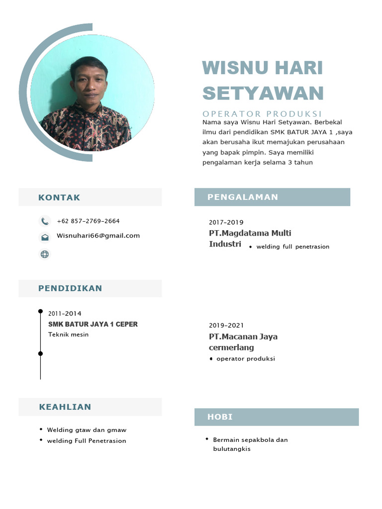 Cv Wisnu Baru | PDF