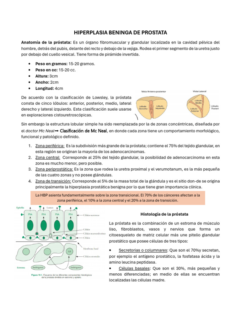 Hiperplasia Beninga de Prostata | PDF | Cancer de prostata | Urología