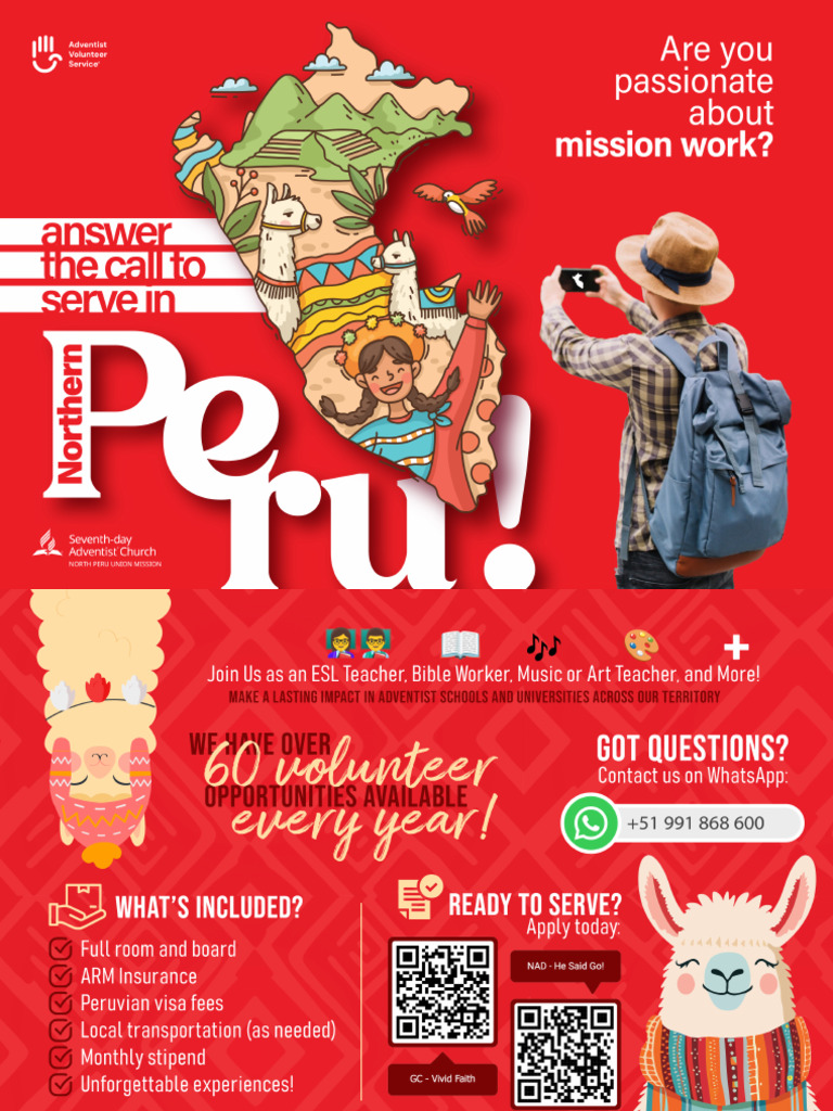 Card AVS Final | PDF