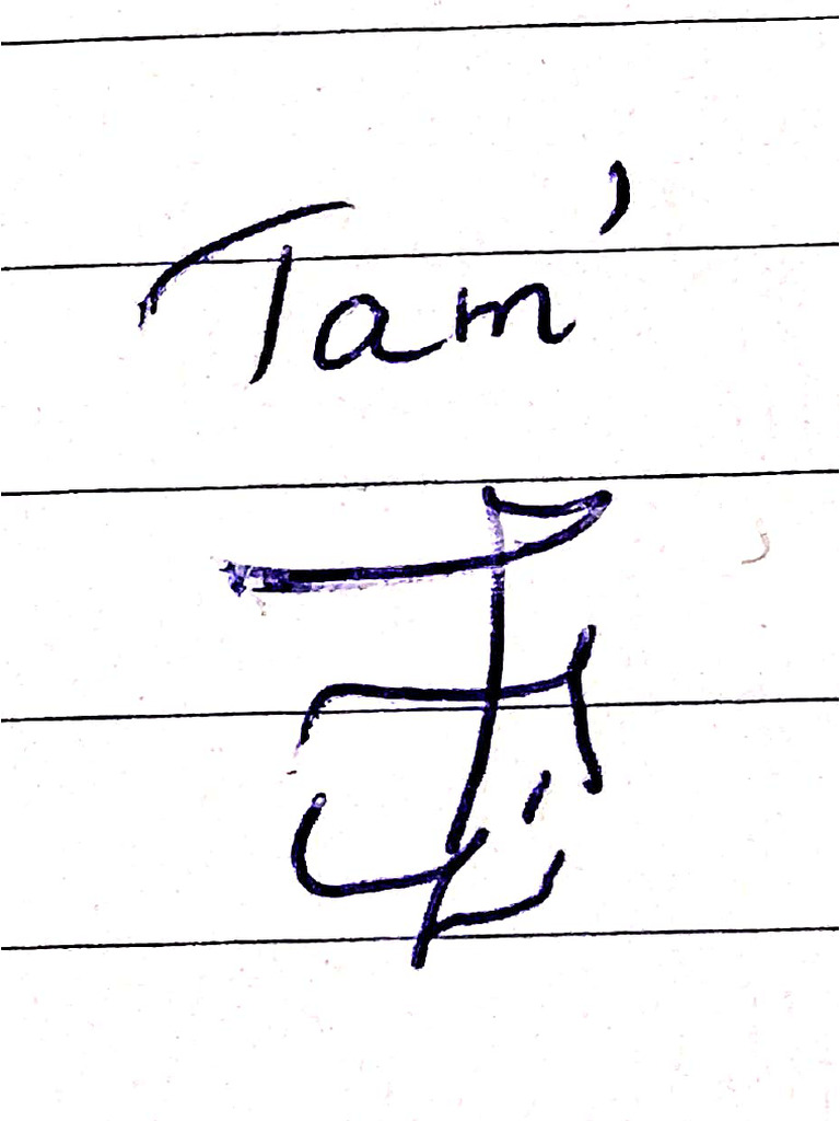 Tam' | PDF